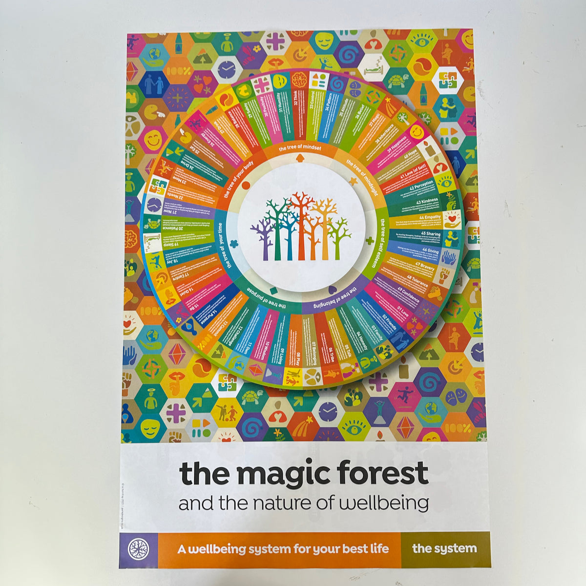 System Poster - The Magic Forest – Park Designs