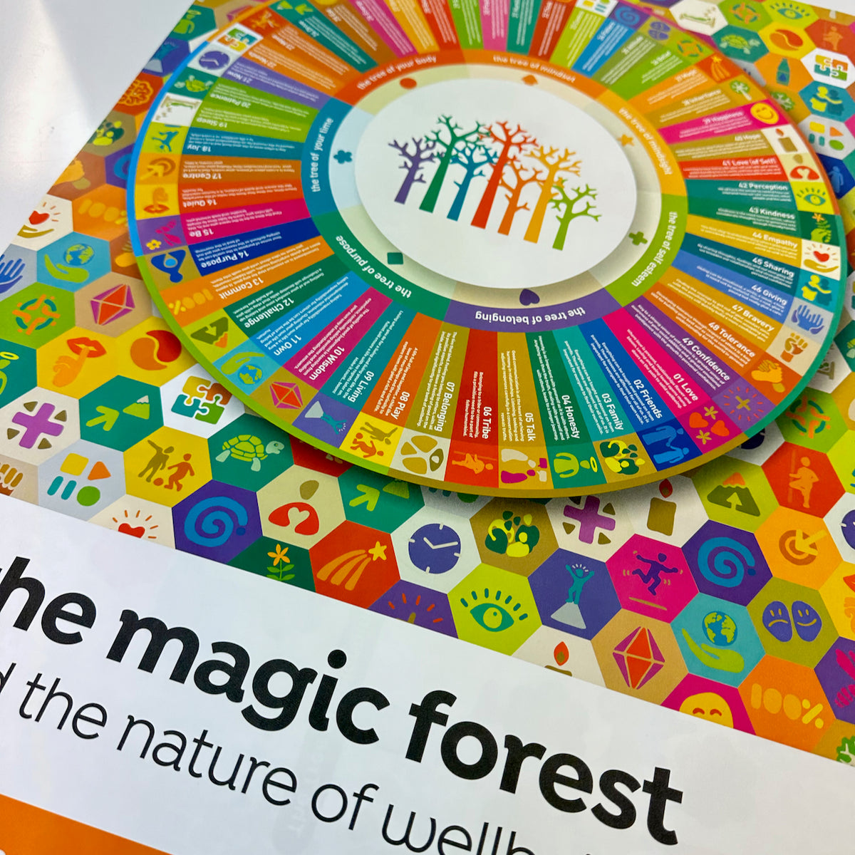 System Poster - The Magic Forest – Park Designs